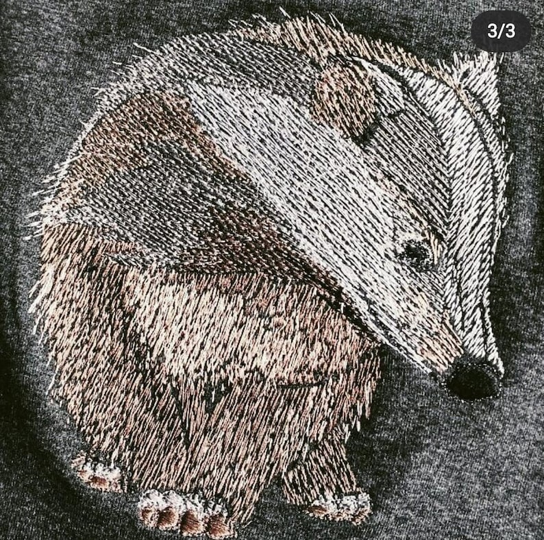Badger Machine Embroidery Design Forest Brock Design Instant Download ...