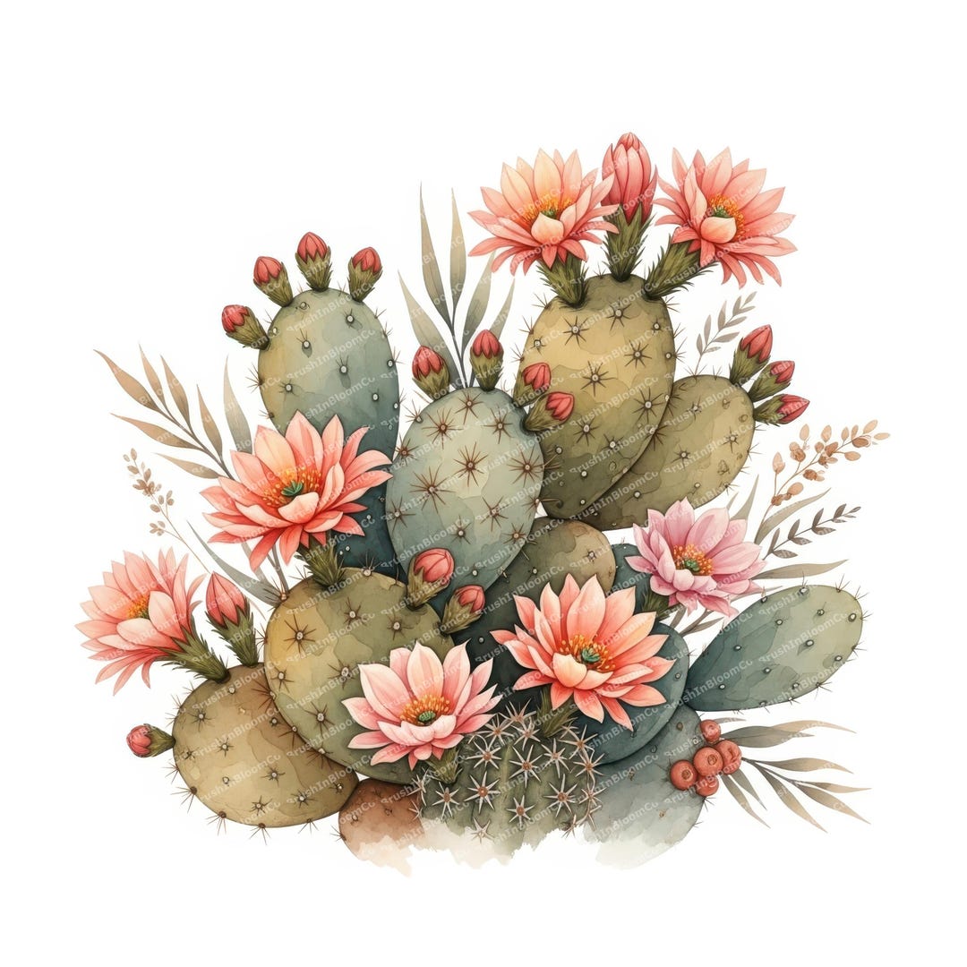 Watercolor Cactus Succulent Clipart, Desert Decor (digital Download) - Etsy