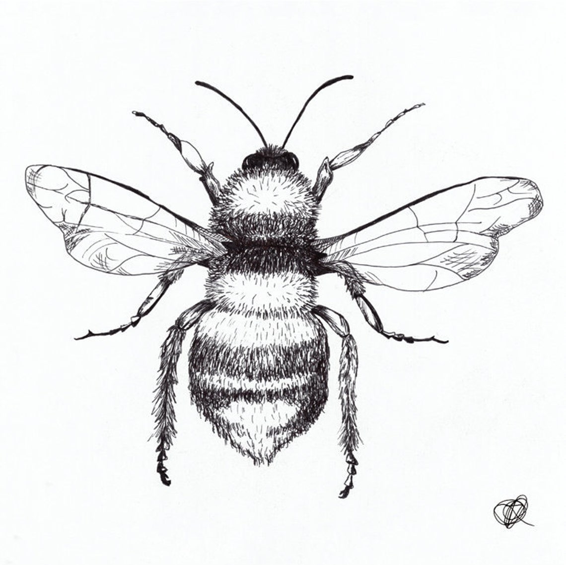 Honey Bee, Hand Drawn , Digital Download, Printable Art, Black and ...