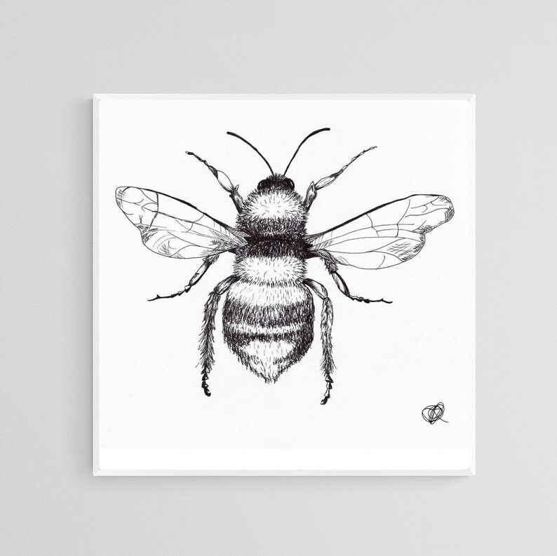 Honey Bee, Hand Drawn , Digital Download, Printable Art, Black and ...