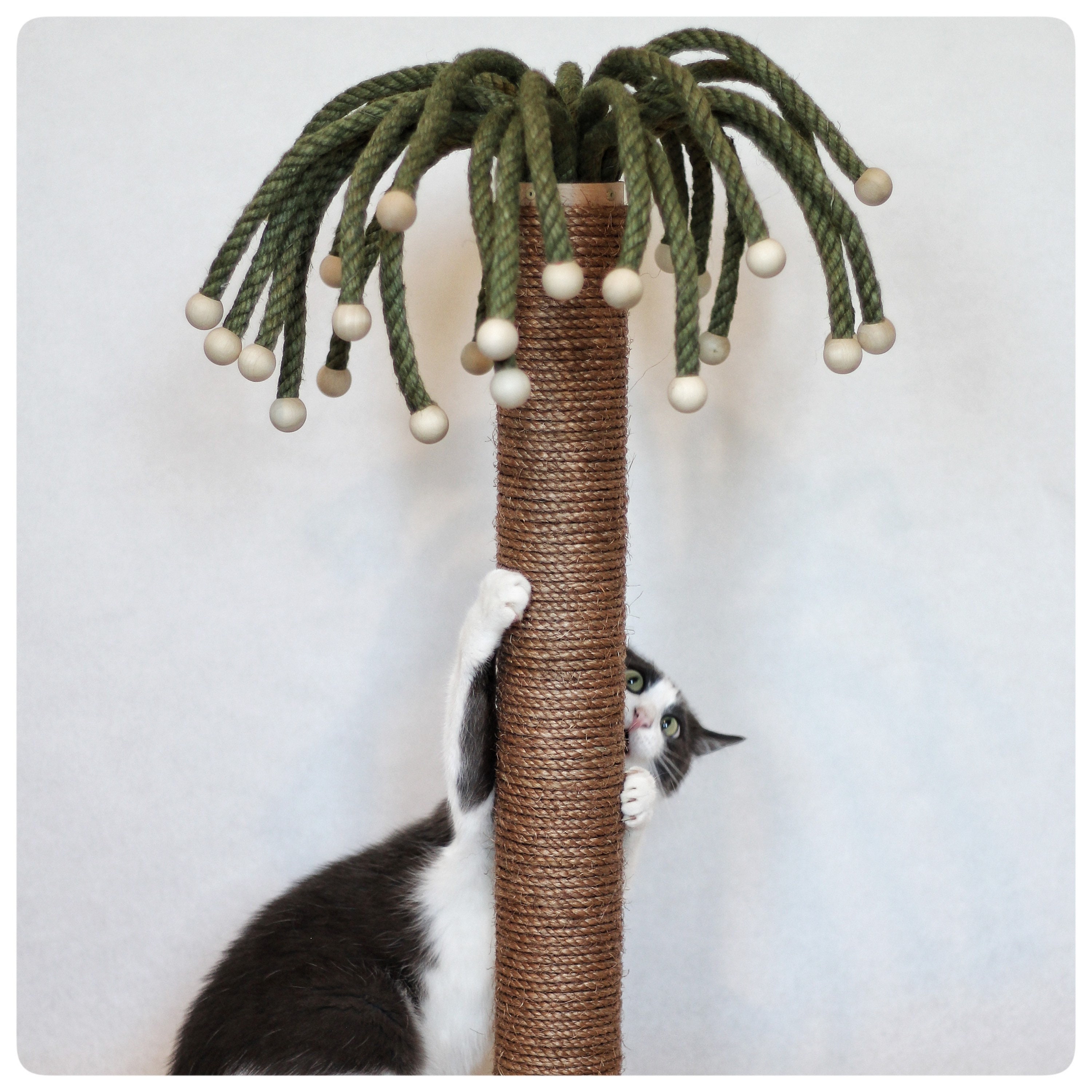 Rollys Palm Cat Scratcher Post - Etsy