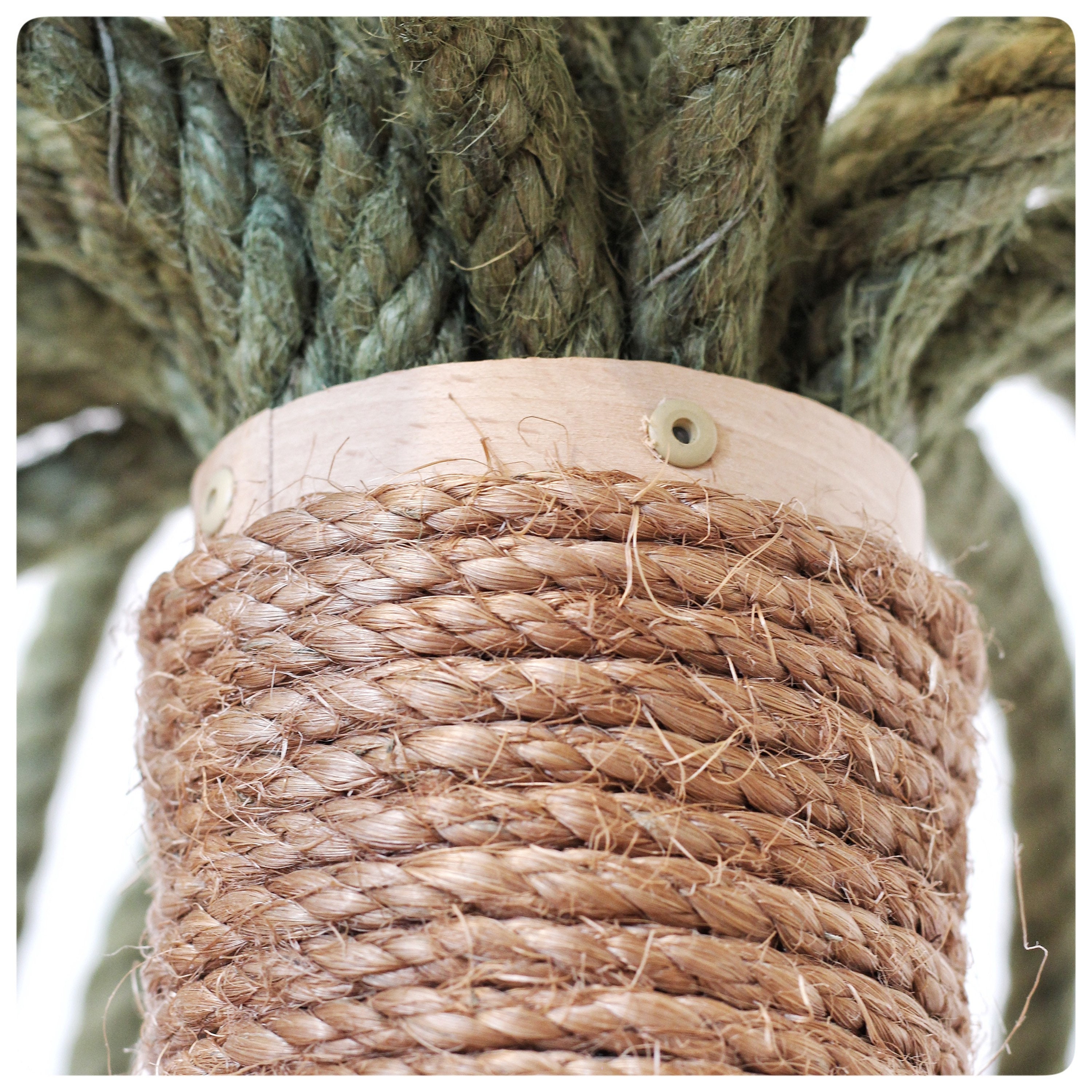 Rollys Palm Cat Scratcher Post - Etsy