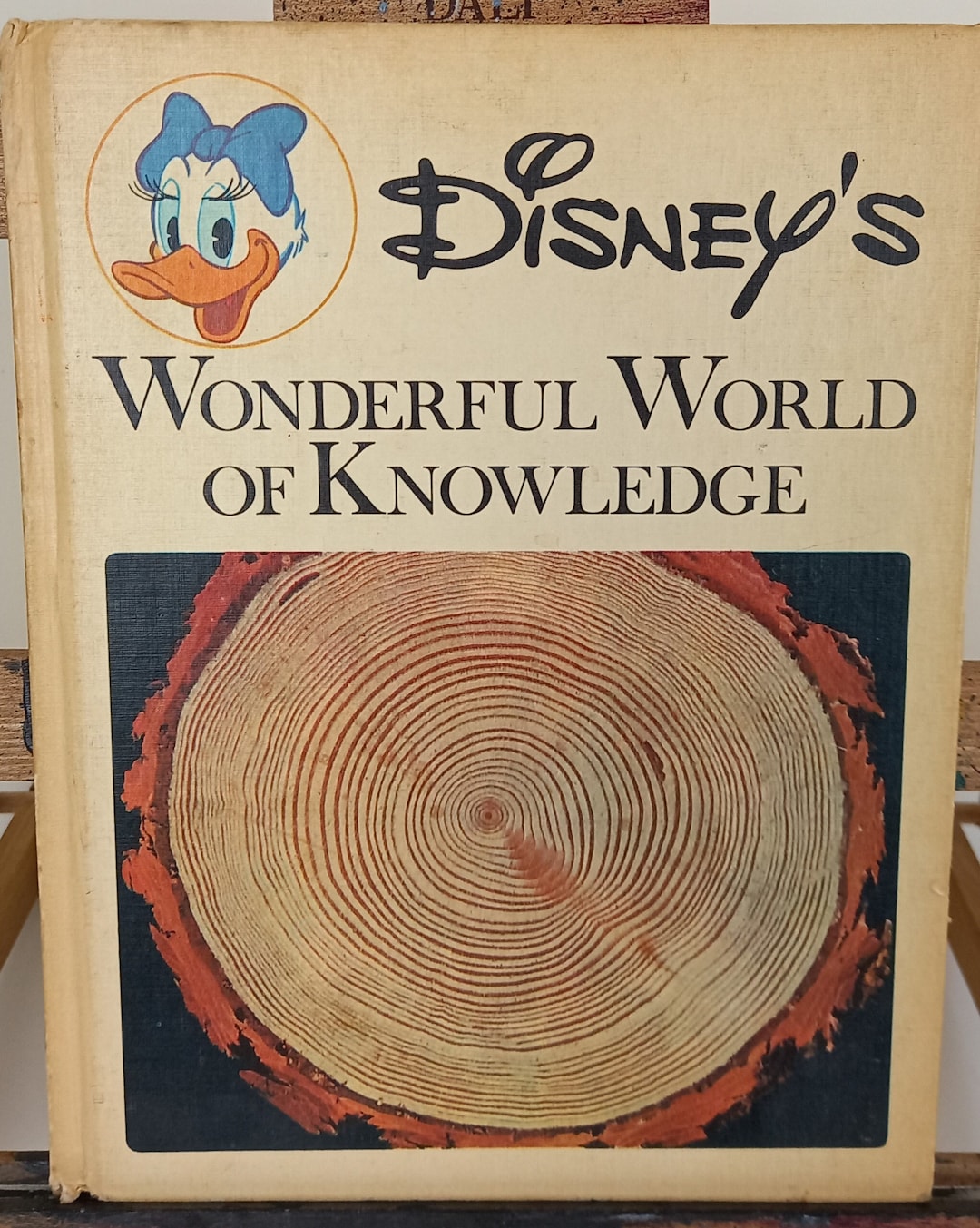 Walt Disney's 1973 Wonderful World of Knowledge Book 2*disney's ...