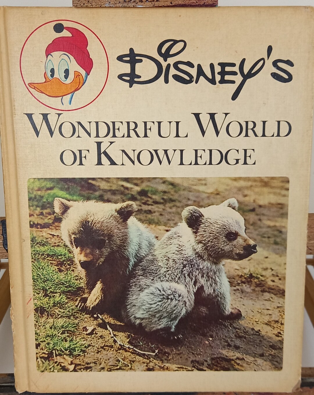 Walt Disney's 1973 Wonderful World of Knowledge Book 1*disney's ...