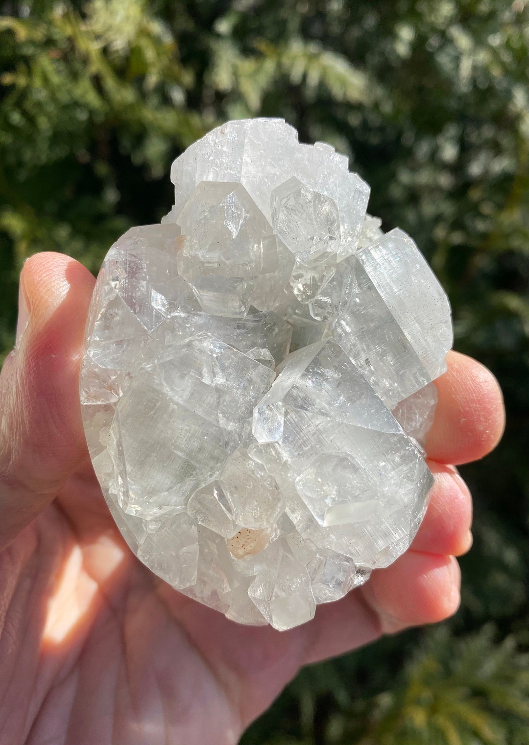 Amazing Apophyllite Palm Stones Half-raw/half-polished you Choose 2 - Etsy