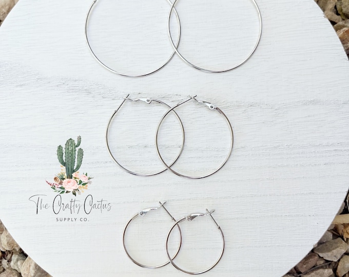 10pcs Stainless Steel Lever Back Earring Hoops THINNER to Fit the ...