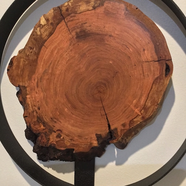 Burl Wall Art - Etsy