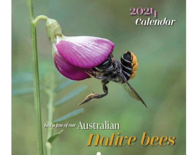 Australian Native Bee Calendar 2024. Beautiful, Educational and ...