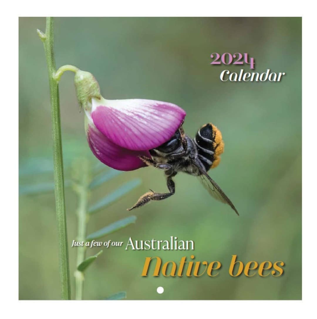 Australian Native Bee Calendar 2024. Beautiful Educational - Etsy UK