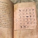 Ark Diary - Etsy