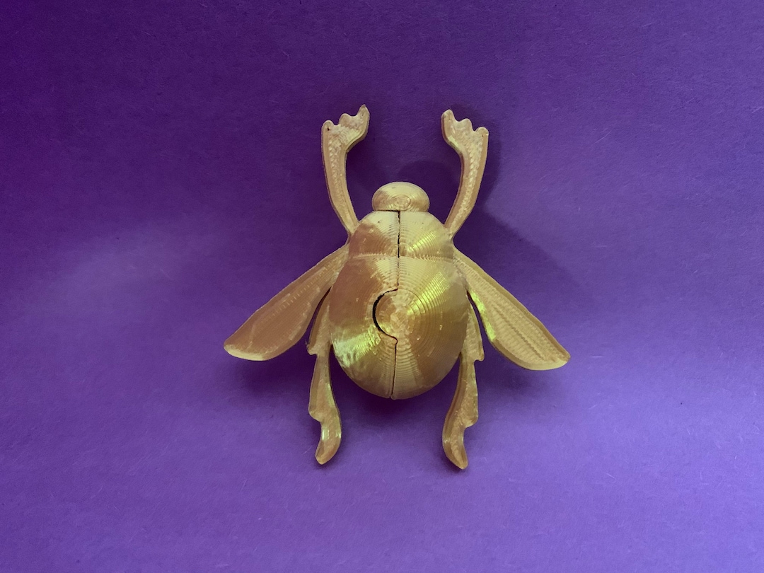 Cave of Wonders Golden Scarab From Aladdin - Etsy