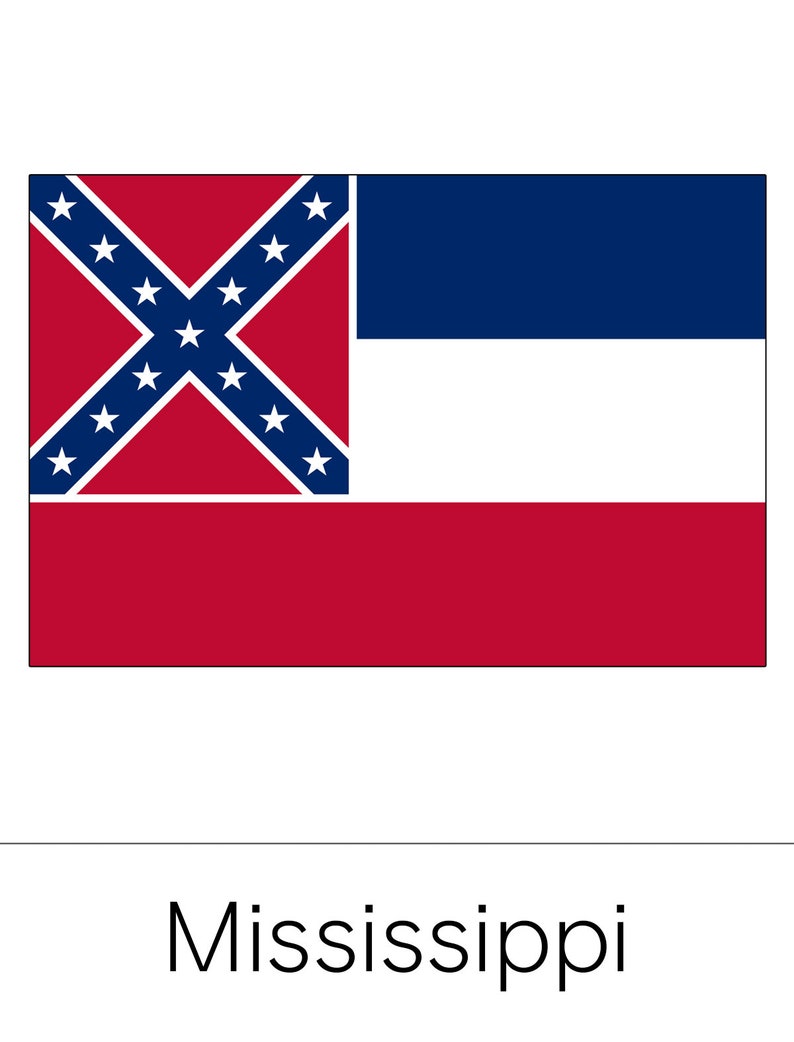 US State Flags Montessori Cards: Facts & Picture (PDF) - Etsy
