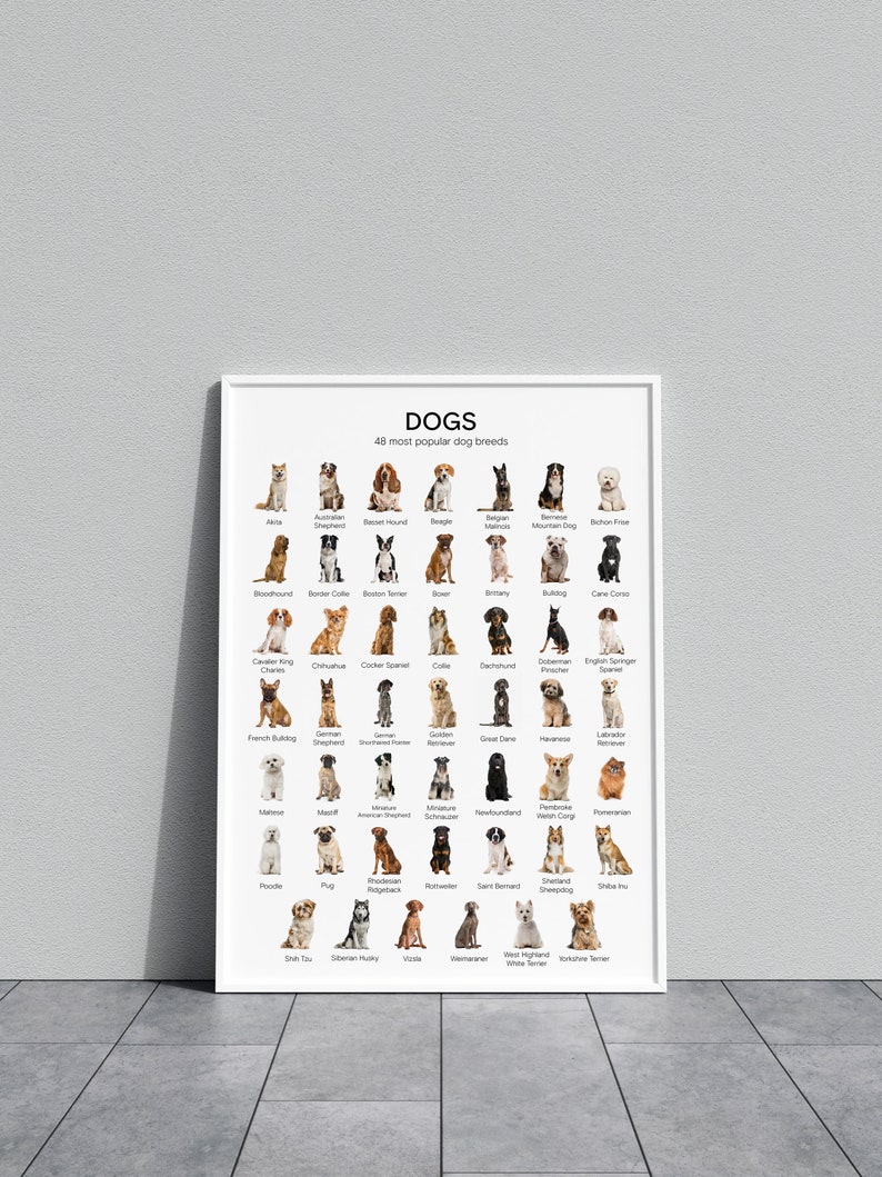 48 Most Popular Dog Breeds Poster, Educational Material, Printable, PDF ...