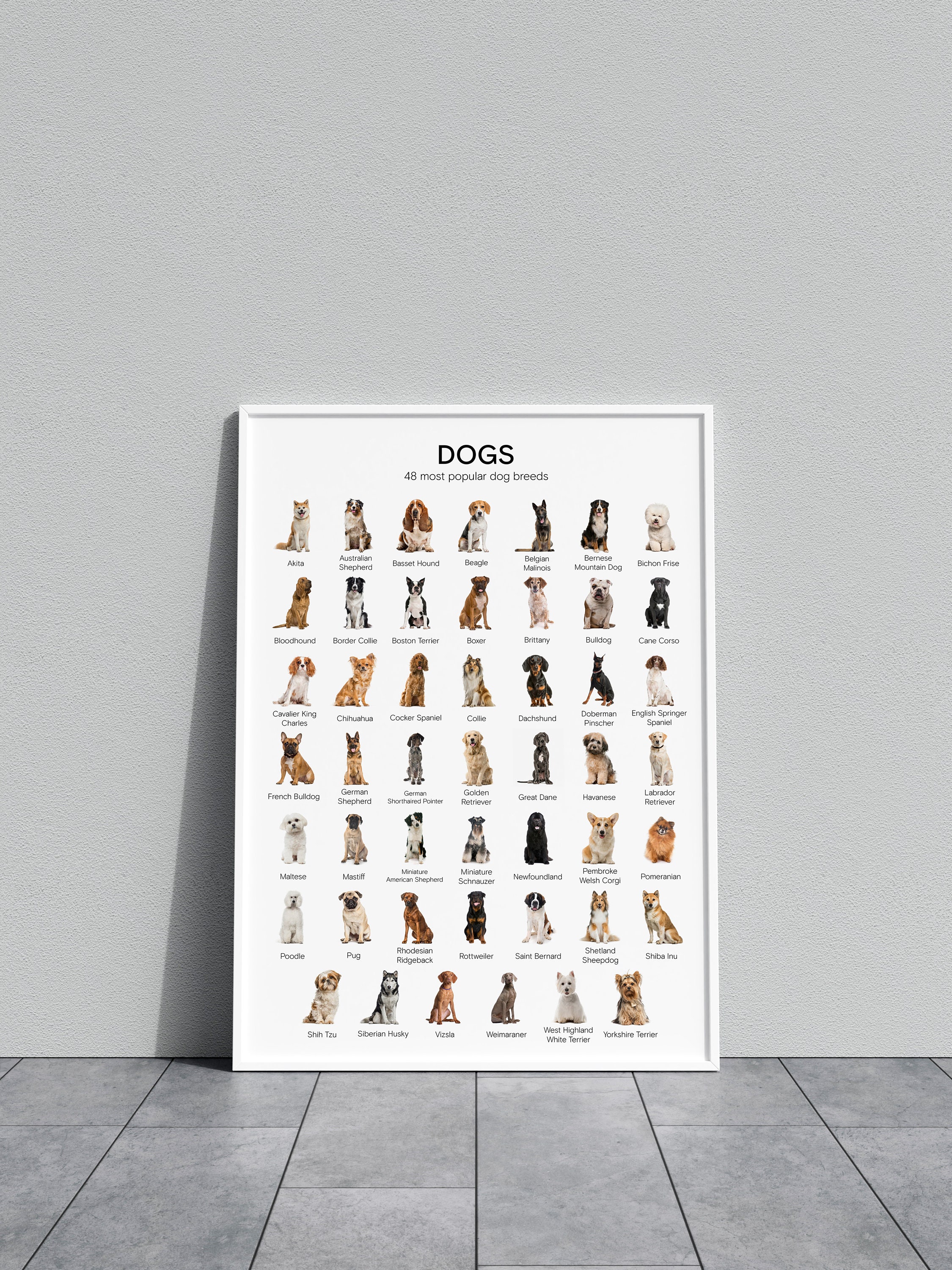 48 Most Popular Dog Breeds Poster, Educational Material, Printable, PDF ...