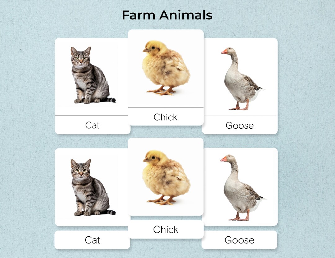 FARM ANIMALS, 32 Montessori 3 Part Cards, Montessori Cards, Flash Cards ...
