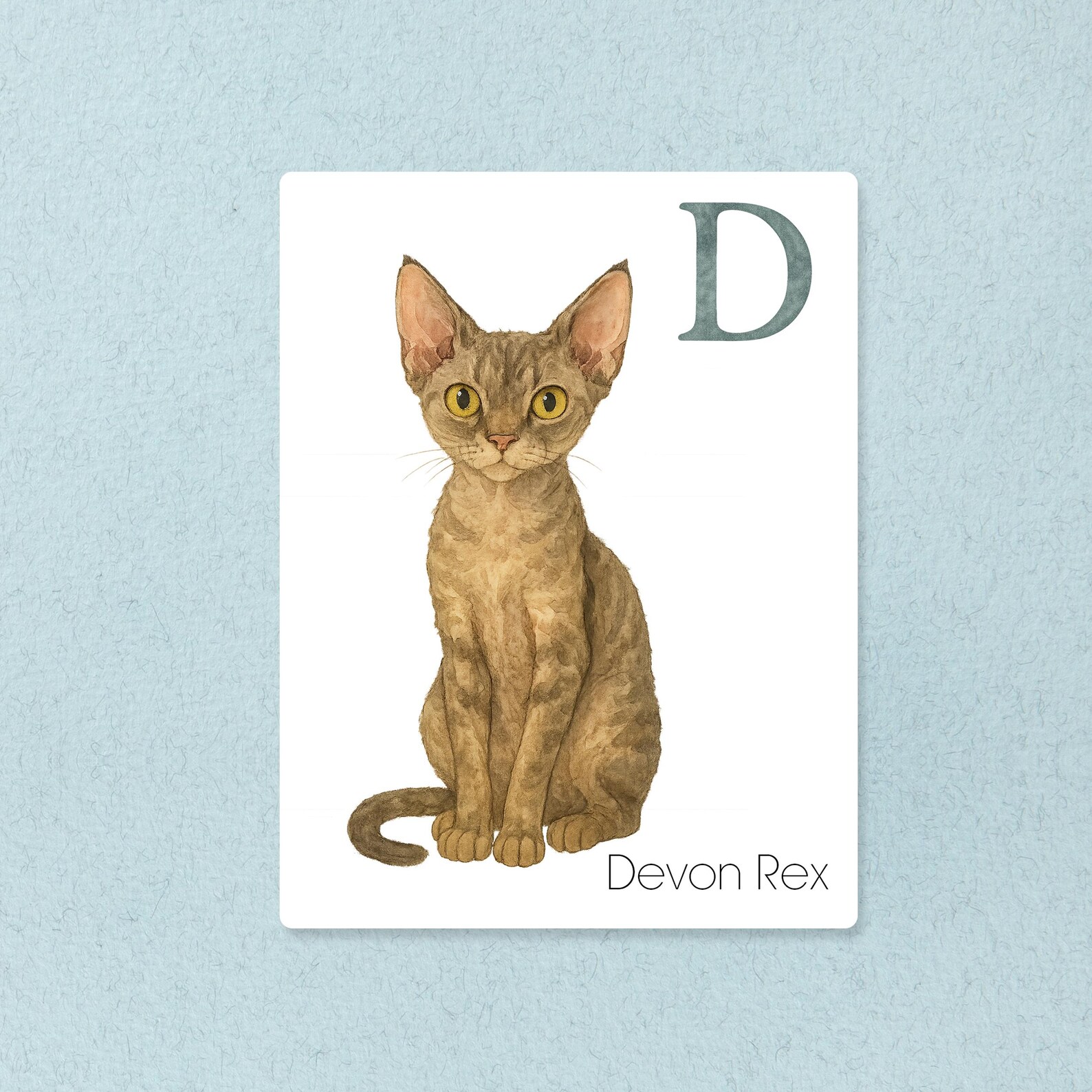 Watercolor Cat Breeds Alphabet Poster: A-Z Flashcards (PDF Pattern) - Etsy