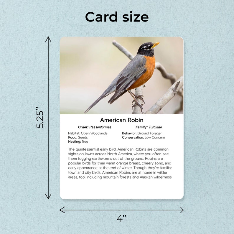 BACKYARD Birds of NORTH CAROLINA + Poster, Facts & Picture, Montessori ...