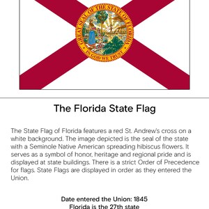 US State Flags Montessori Cards: Facts & Picture (PDF) - Etsy