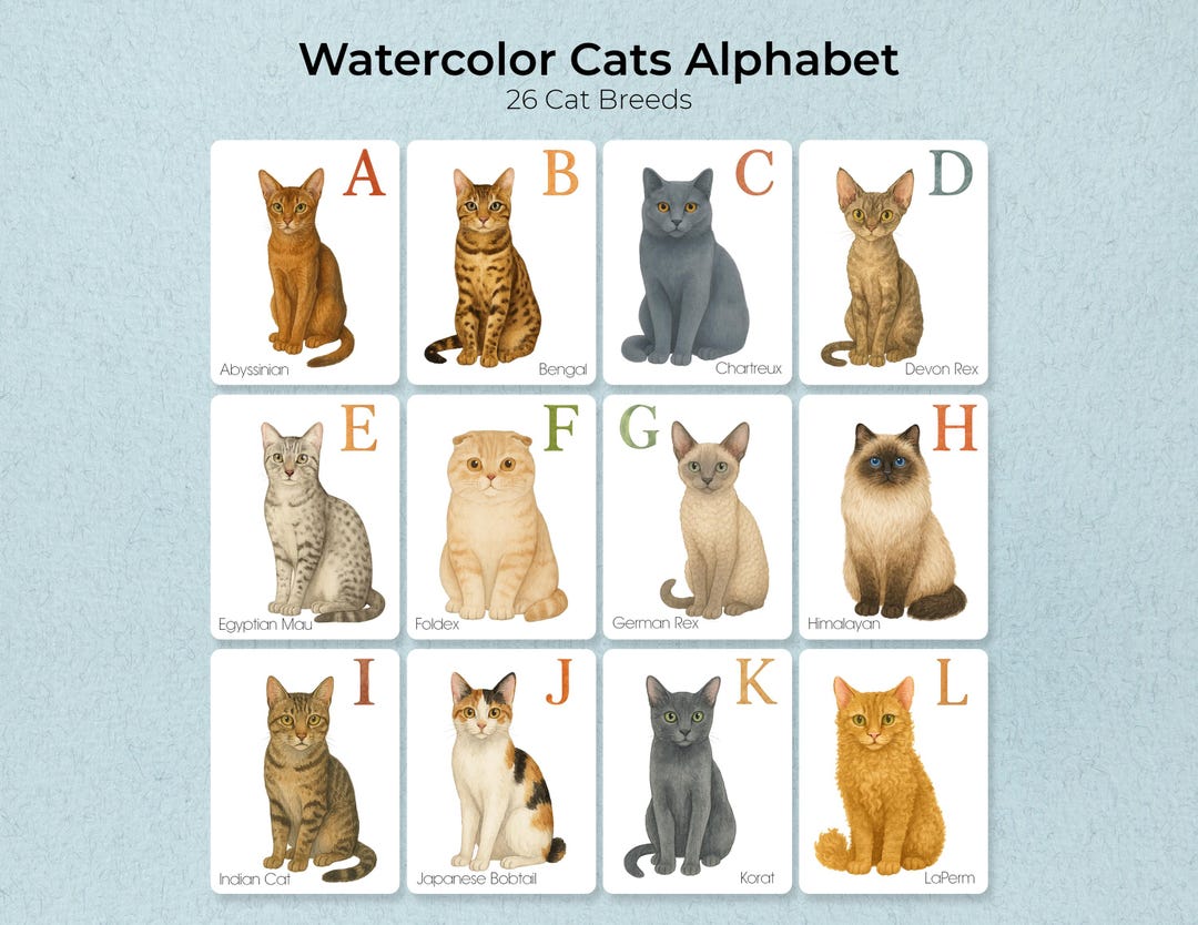 Watercolor Cat Breeds Alphabet Poster: A-Z Flashcards (PDF Pattern) - Etsy
