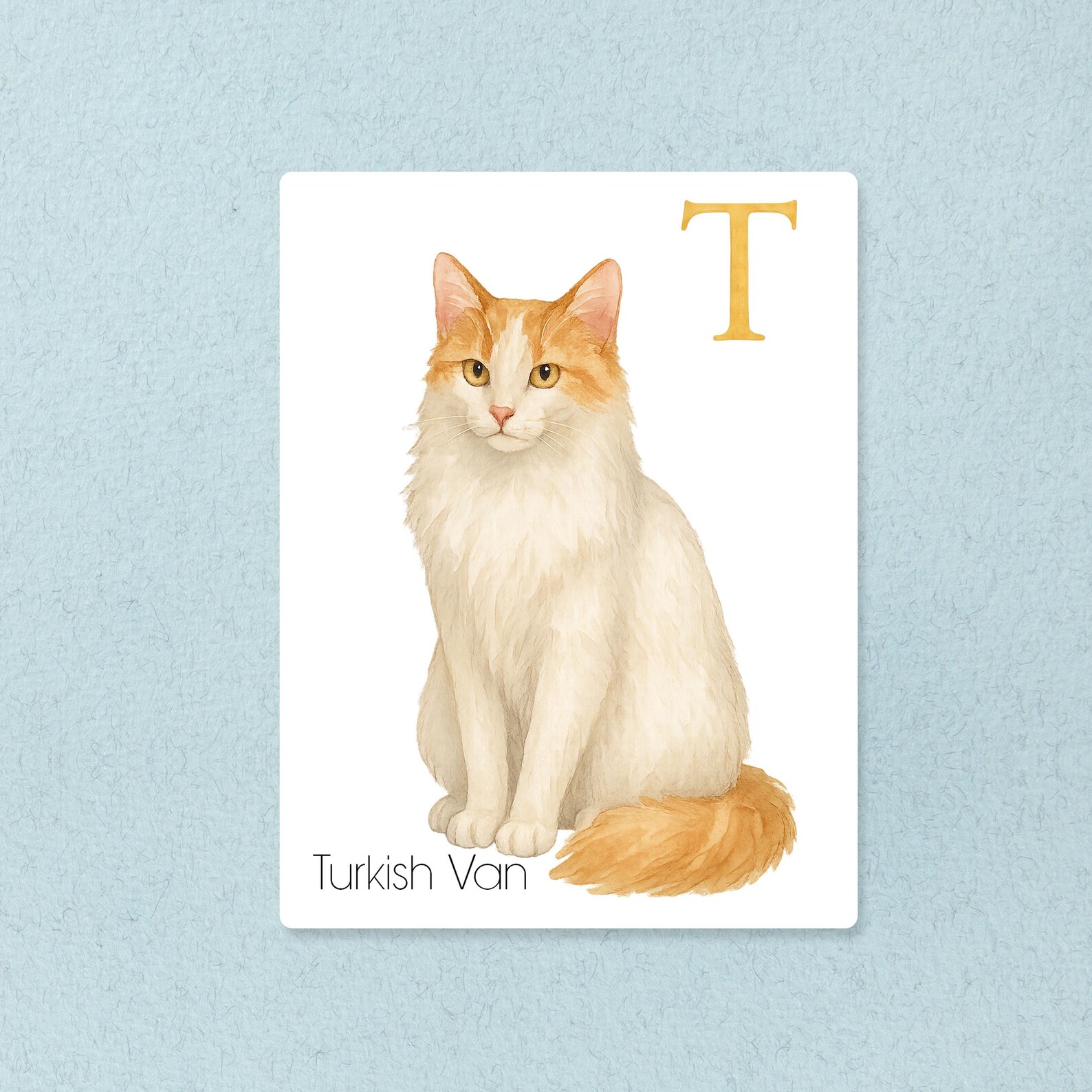 Watercolor Cat Breeds Alphabet Poster: A-Z Flashcards (PDF Pattern) - Etsy