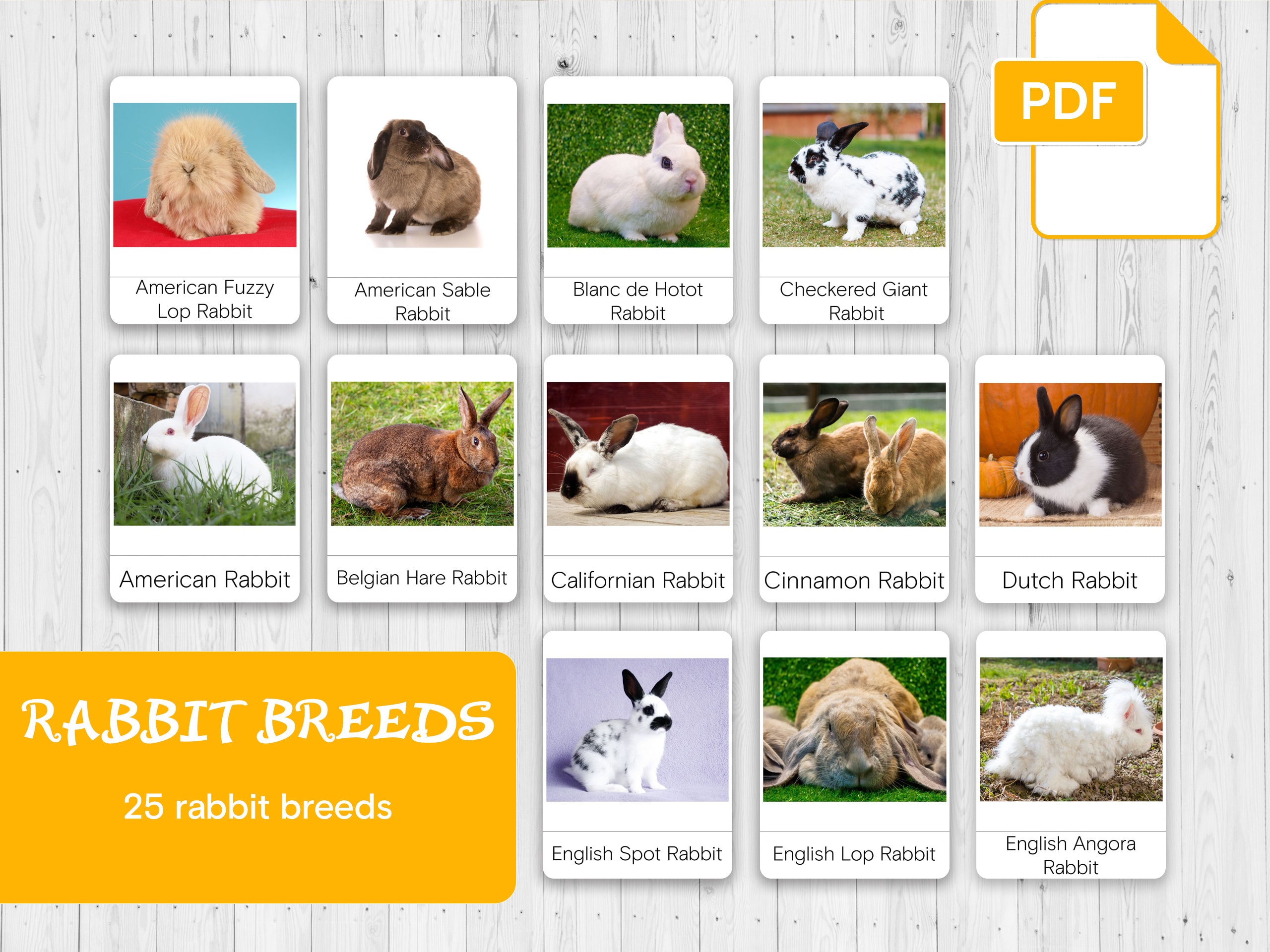 Rabbit Breeds Montessori Cards: Educational Flash Cards (printable PDF ...