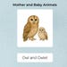 Mother and Baby Animals Flashcards, Farm, Forest & Wild Animal Cards ...