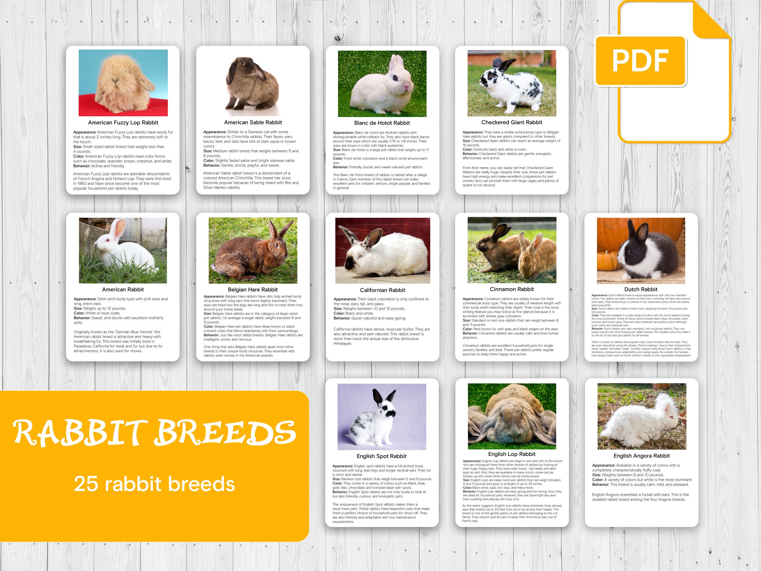 Rabbit Breeds Montessori Cards: Educational Flash Cards (printable PDF ...