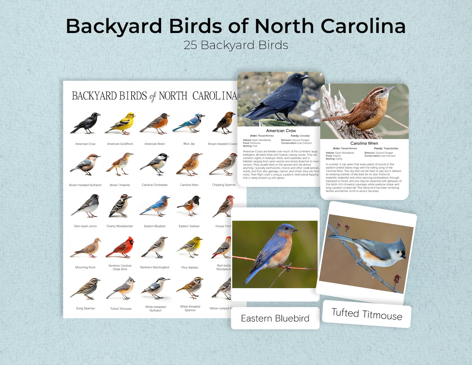 BACKYARD Birds of NORTH CAROLINA + Poster, Facts & Picture, Montessori ...