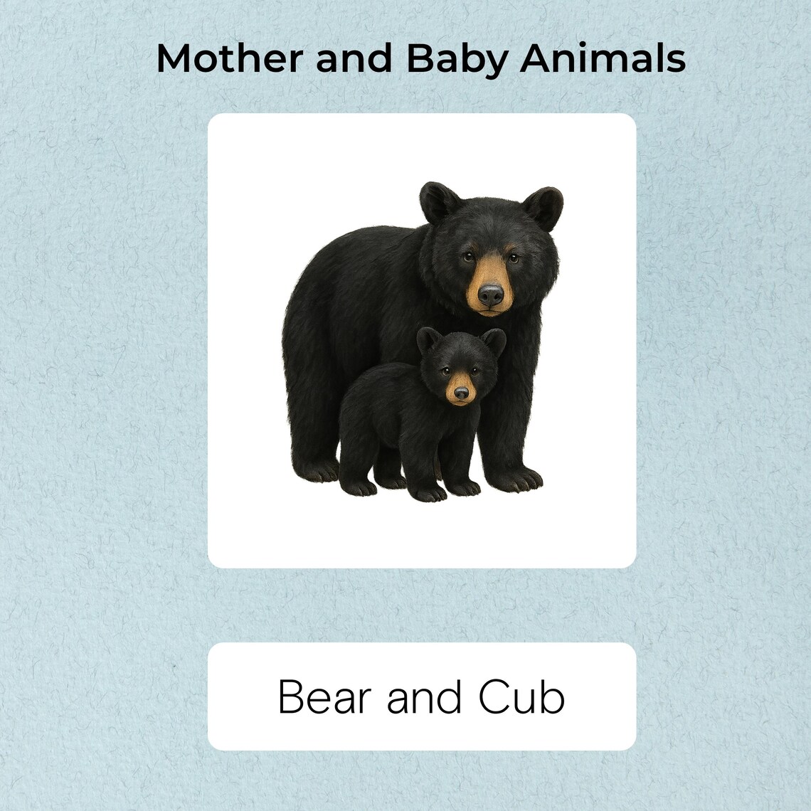 Mother and Baby Animals Flashcards, Farm, Forest & Wild Animal Cards ...