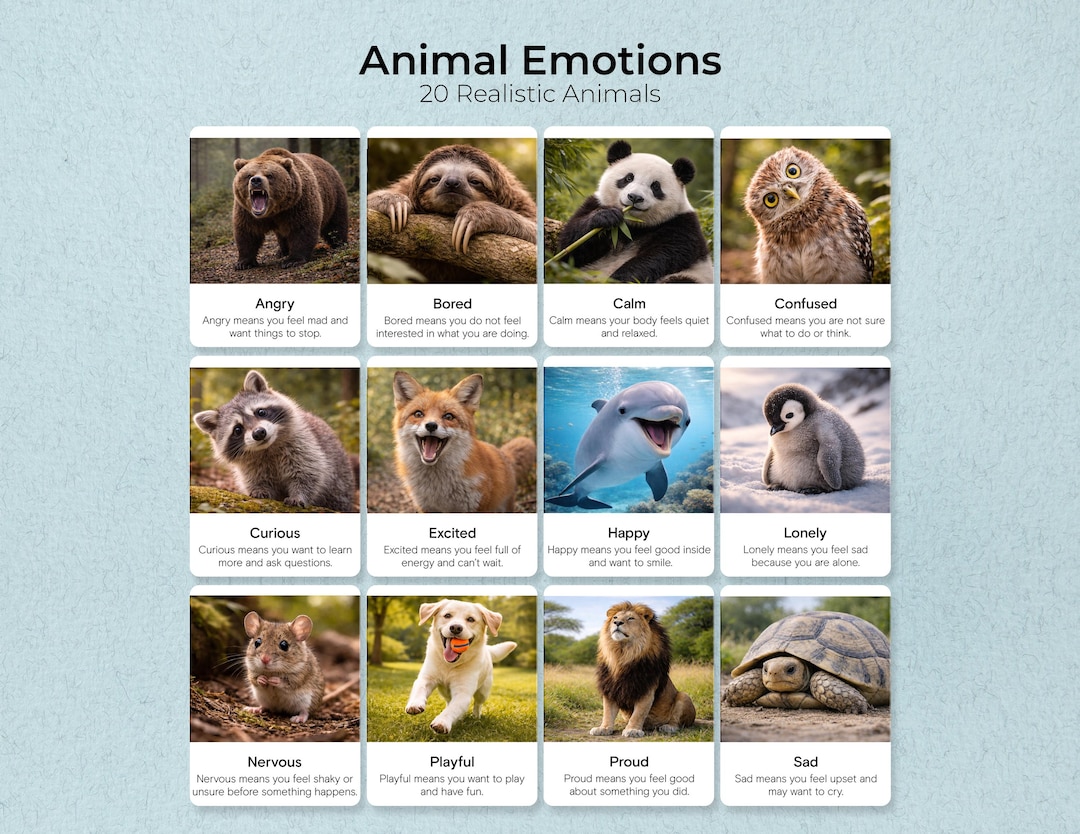 Animal Emotion Flashcards for Kids, Social Emotional Learning (PDF) - Etsy