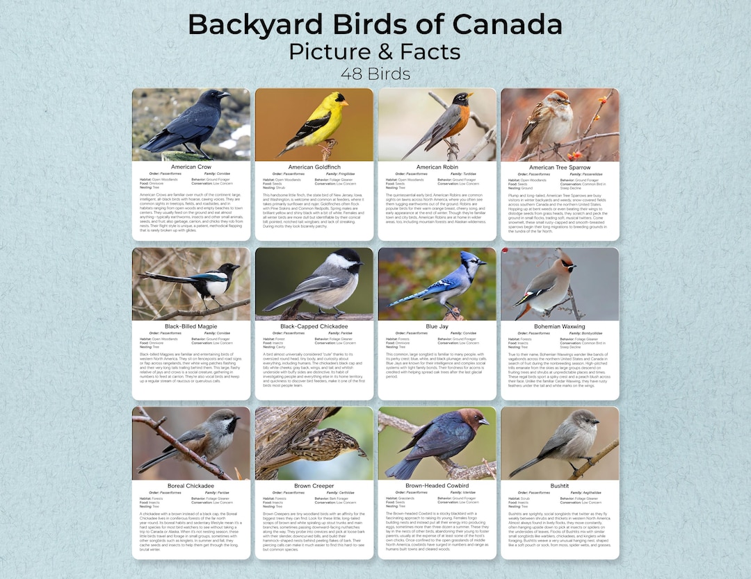 BACKYARD BIRDS of CANADA, Montessori 3 Part Cards and Fact Cards ...