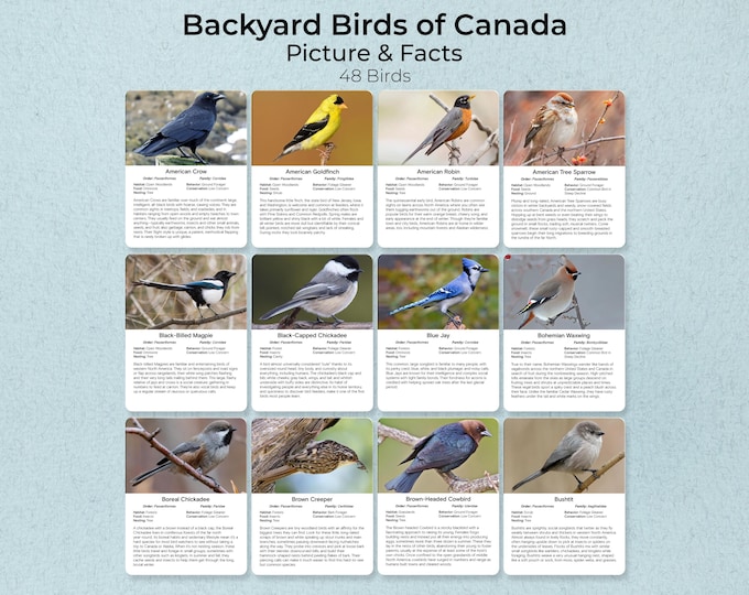Backyard Birds Printable Flashcards - Montessori Educational Materials ...