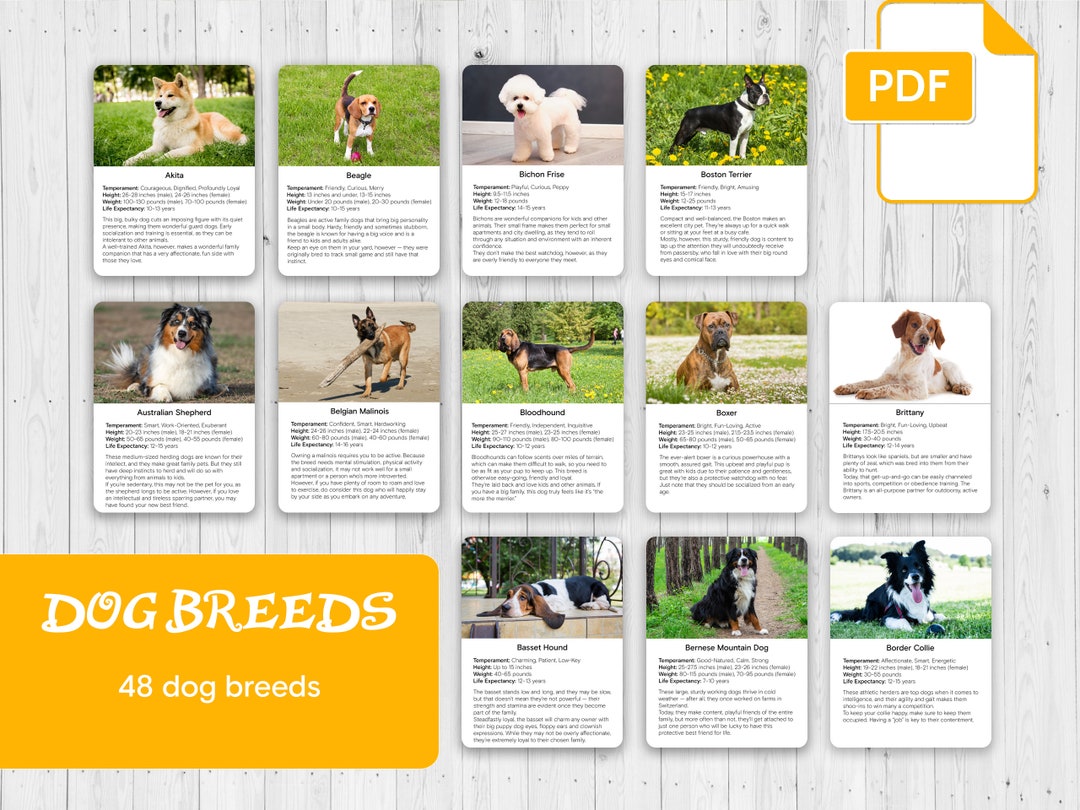 DOG BREEDS, Montessori 3 Part Cards and Fact Cards, Montessori Cards ...