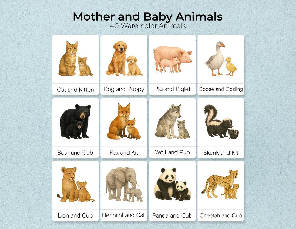 Mother and Baby Animals Flashcards, Farm, Forest & Wild Animal Cards ...