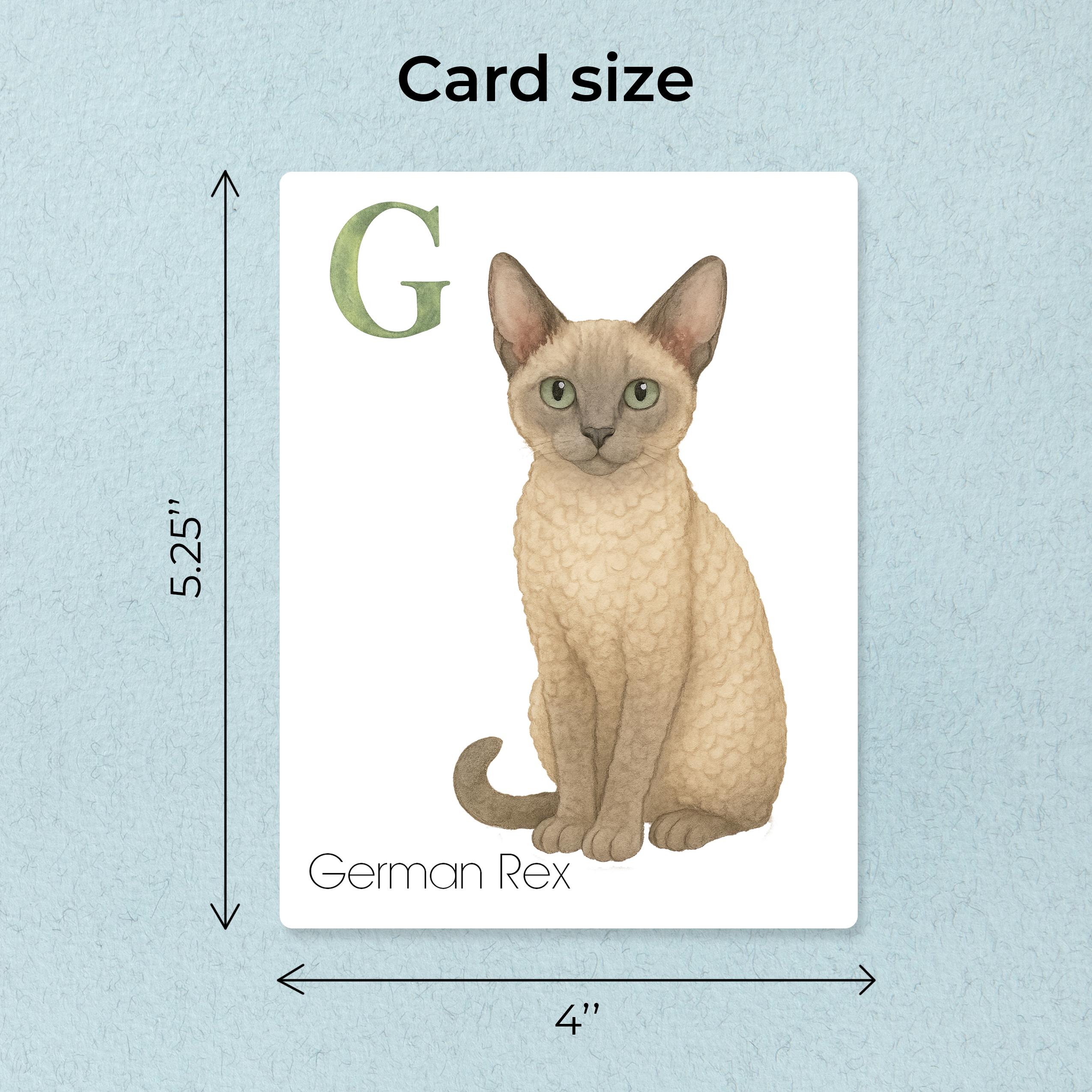 Watercolor Cat Breeds Alphabet Poster: A-Z Flashcards (PDF Pattern) - Etsy