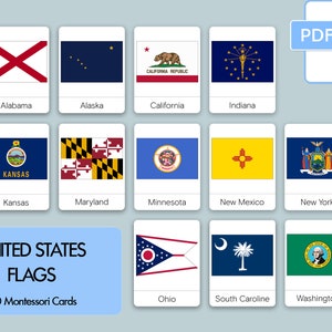 US State Flags Montessori Cards: Facts & Picture (PDF) - Etsy