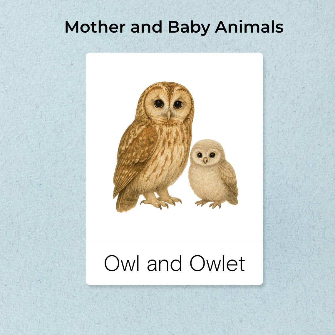 Mother and Baby Animals Flashcards, Farm, Forest & Wild Animal Cards ...