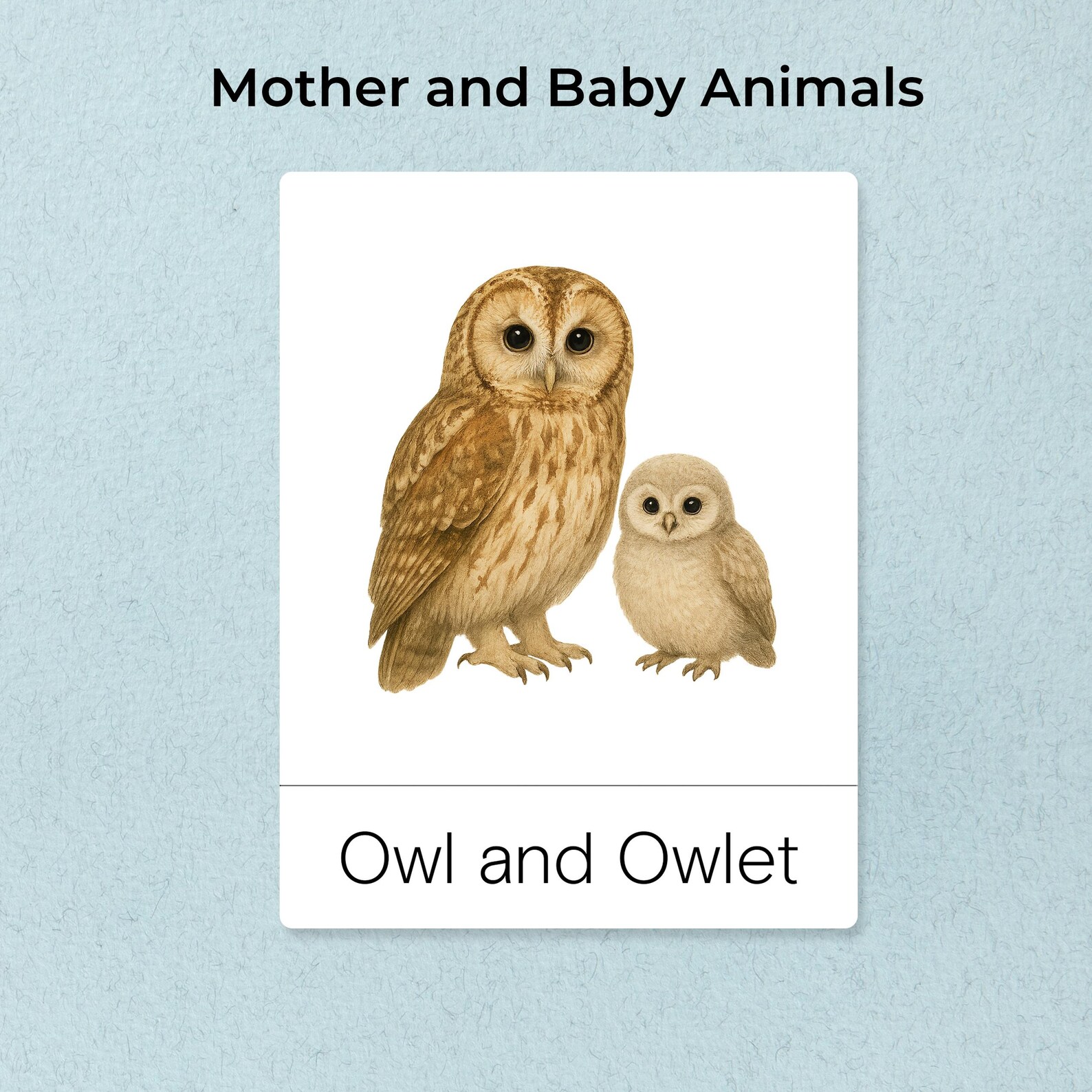 Mother and Baby Animals Flashcards, Farm, Forest & Wild Animal Cards ...