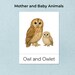 Mother and Baby Animals Flashcards, Farm, Forest & Wild Animal Cards ...