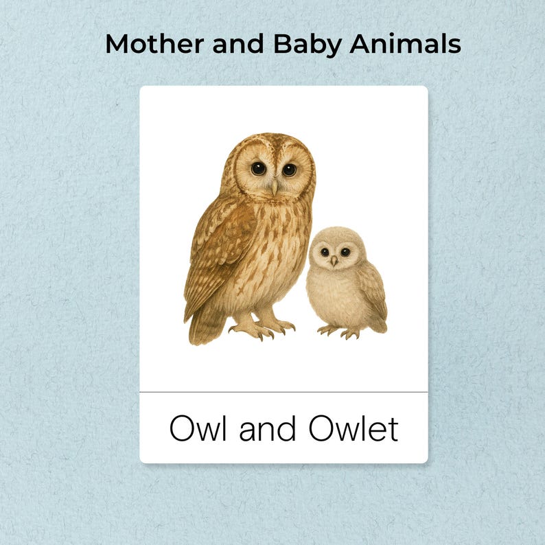 Mother and Baby Animals Flashcards, Farm, Forest & Wild Animal Cards ...
