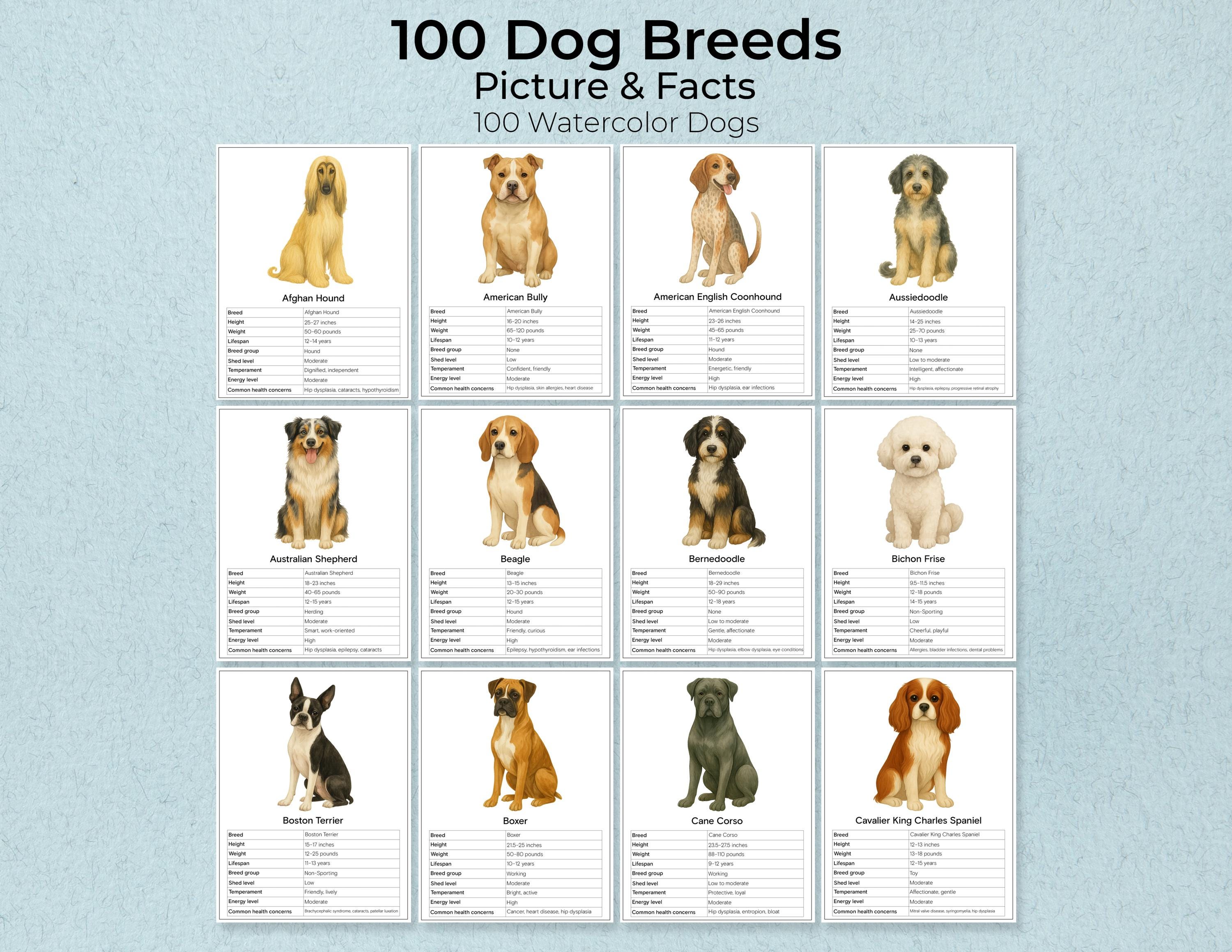 Montessori Dog Breed Cards: Watercolor Flash Cards, Educational ...
