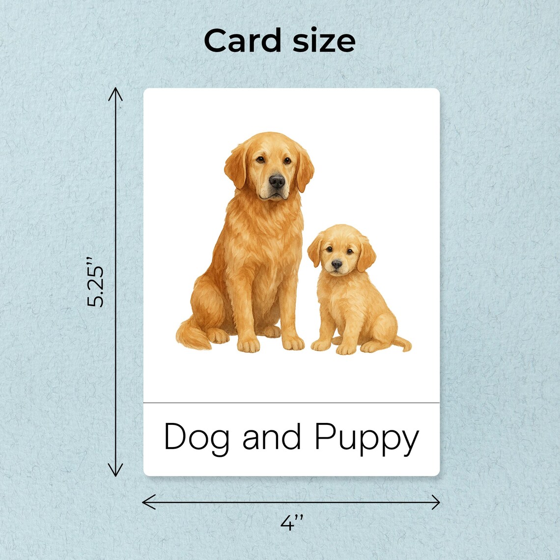 Mother and Baby Animals Flashcards, Farm, Forest & Wild Animal Cards ...