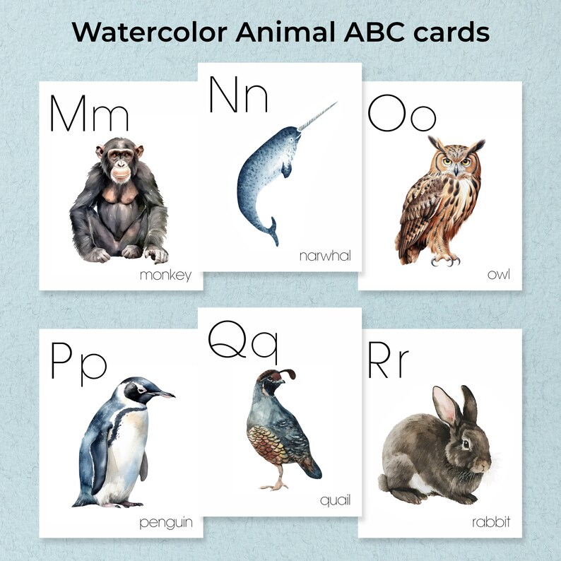 Watercolor Animal Alphabet Flash Cards: A-Z Printable (PDF) - Etsy