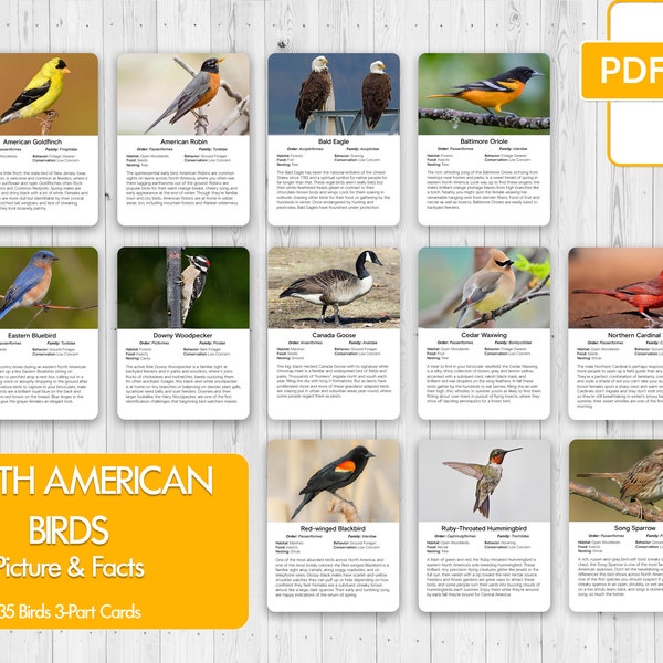 Educational Cards - Etsy