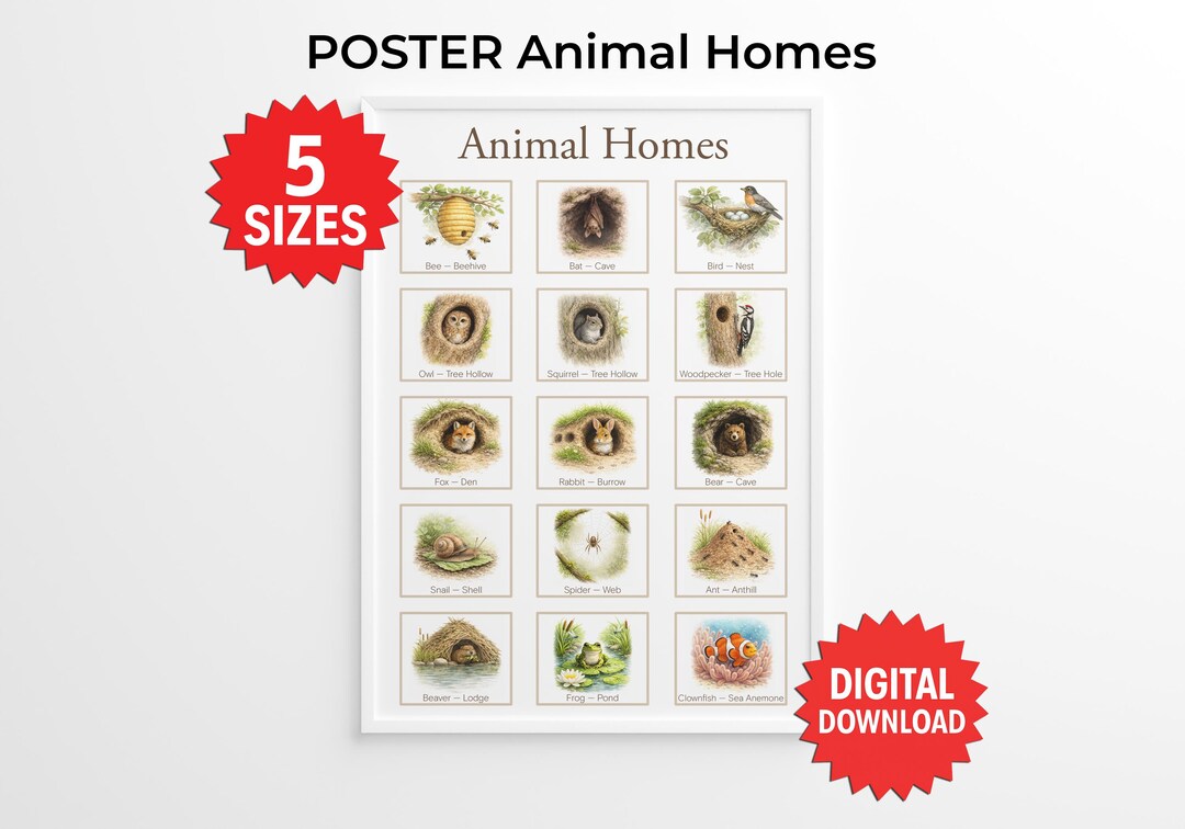 Animal Homes Chart Poster, Montessori Classroom Decor (digital Download ...