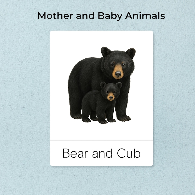 Mother and Baby Animals Flashcards, Farm, Forest & Wild Animal Cards ...