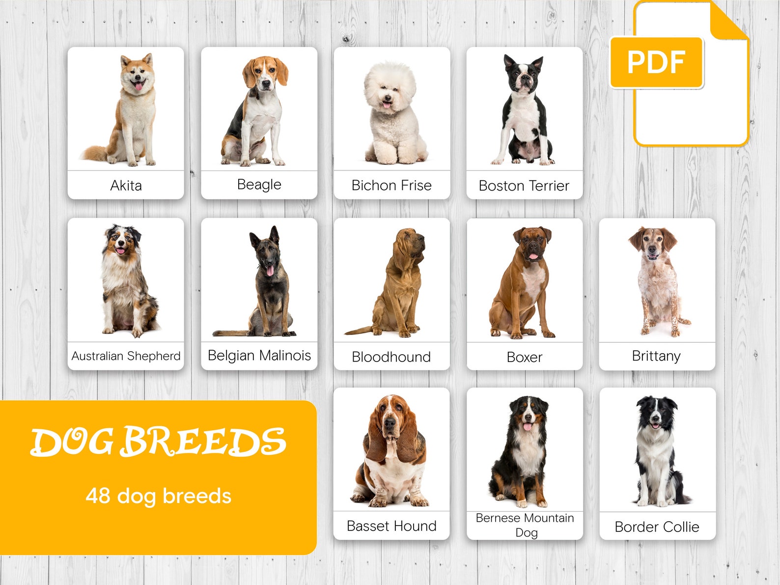 DOG BREEDS, Montessori 3 Part Cards and Fact Cards, Montessori Cards ...