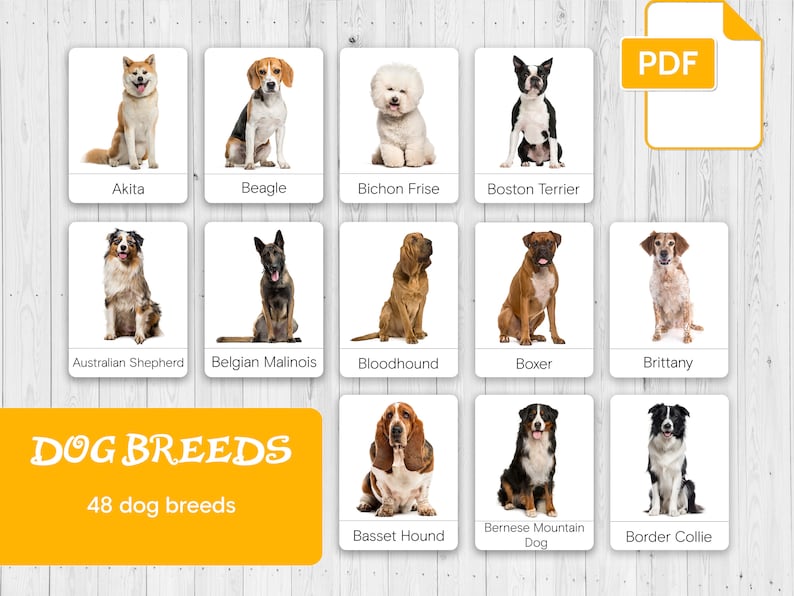 DOG BREEDS, Montessori 3 Part Cards and Fact Cards, Montessori Cards ...