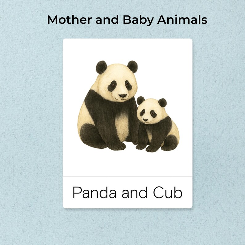 Mother and Baby Animals Flashcards, Farm, Forest & Wild Animal Cards ...