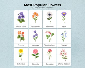 Watercolor Flower Flashcards: Montessori Nomenclature Cards (PDF) - Etsy